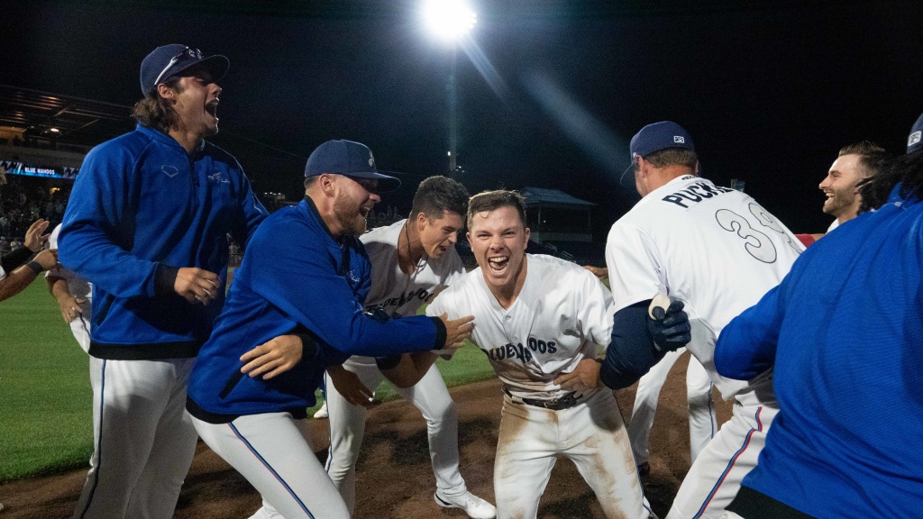 Blue Wahoos Mini Plans | Blue Wahoos