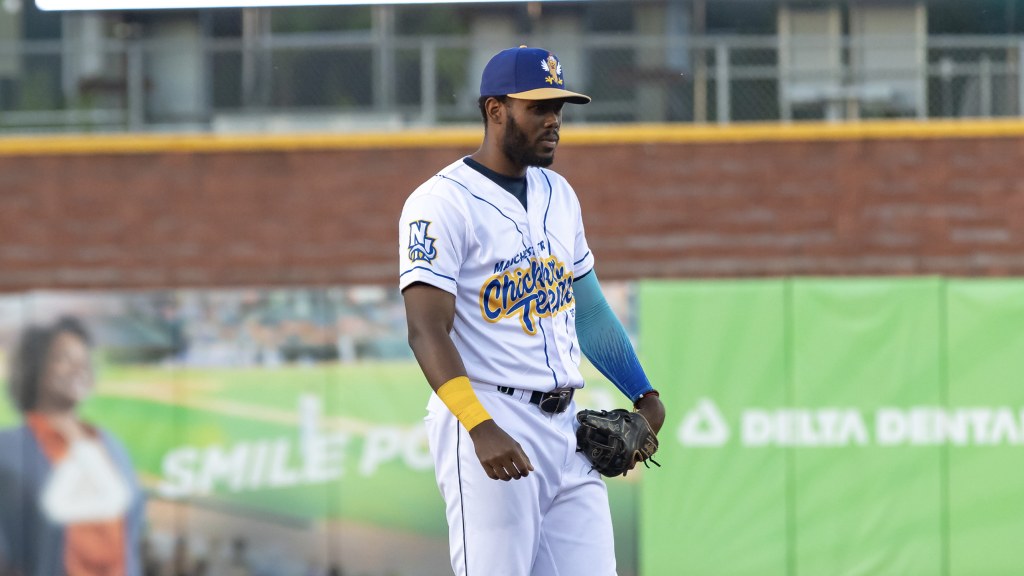 Manchester Chicken Tenders | Fisher Cats