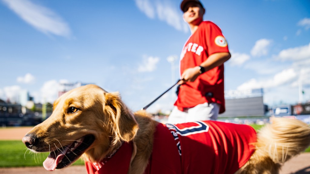 WooSox Mini Plans | Red Sox