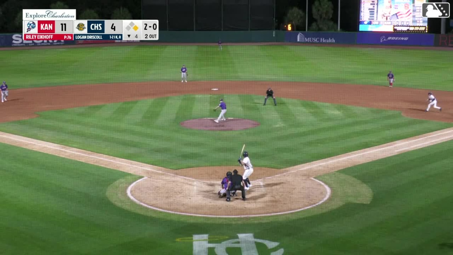 Official Charleston RiverDogs Website
