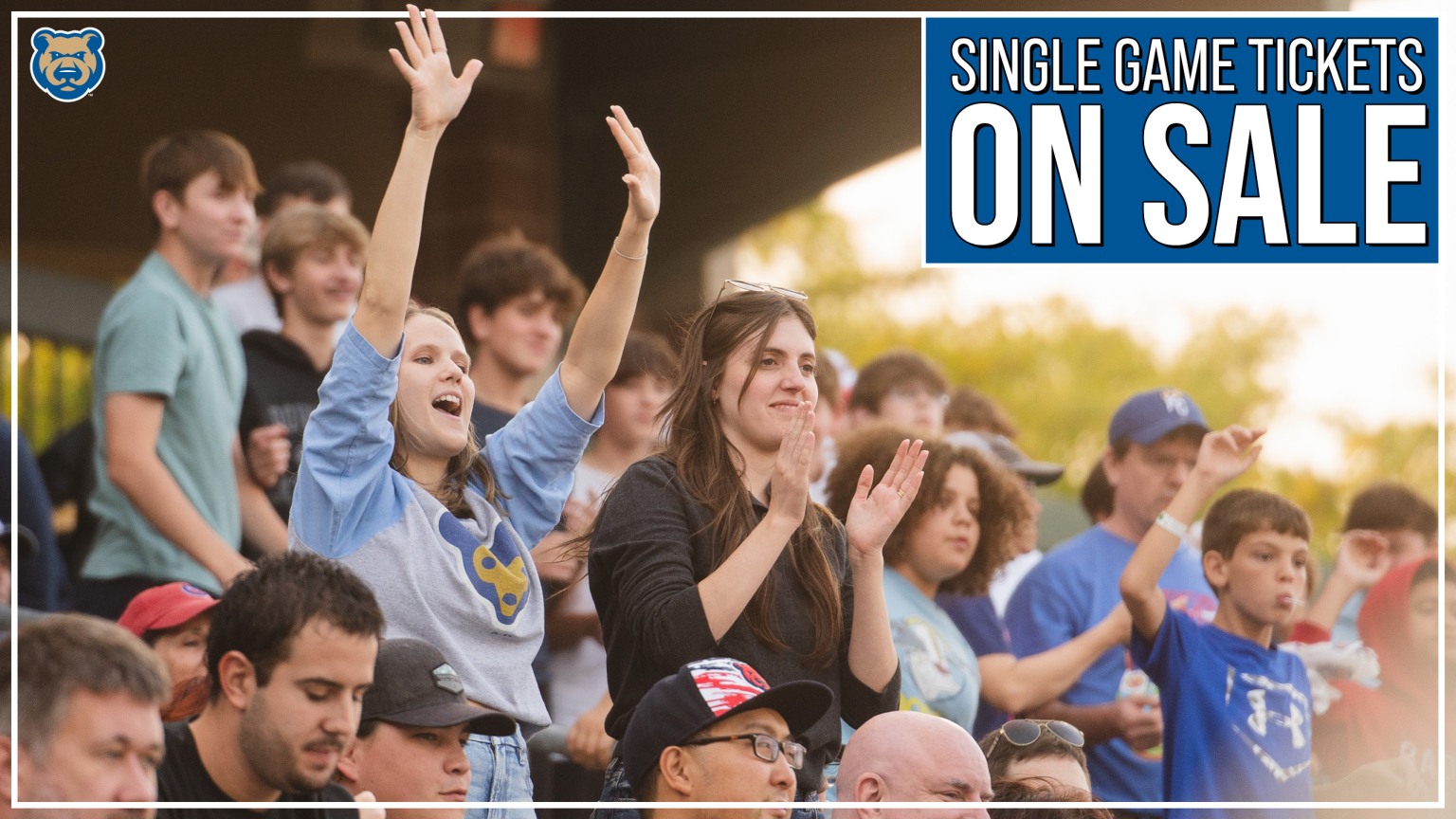 Iowa Cubs | MiLB.com