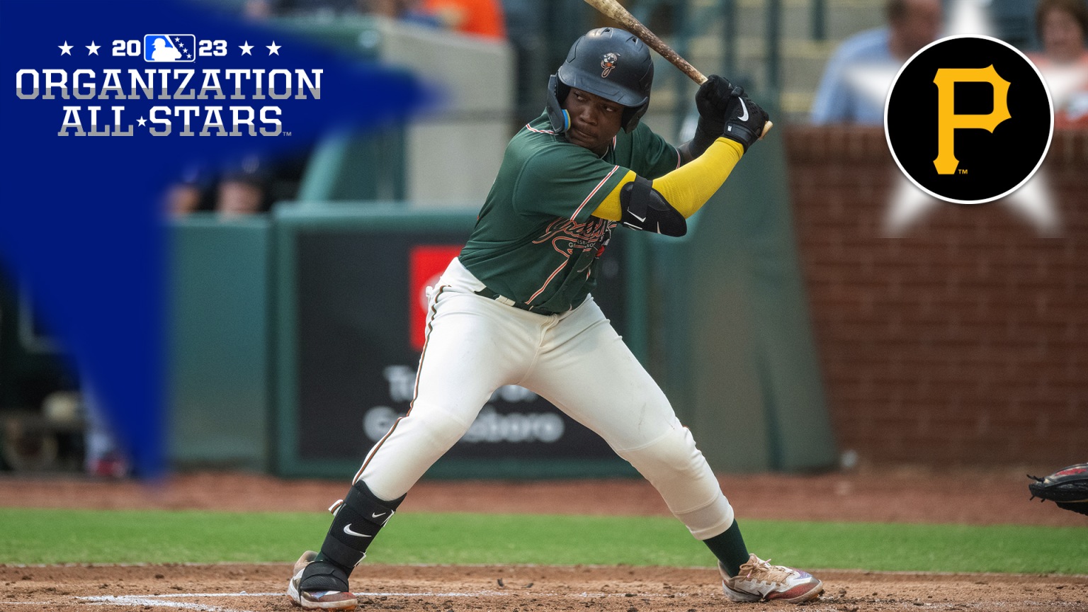 Ryan Harbin Stats, Age, Position, Height, Weight, Fantasy & News | MiLB.com