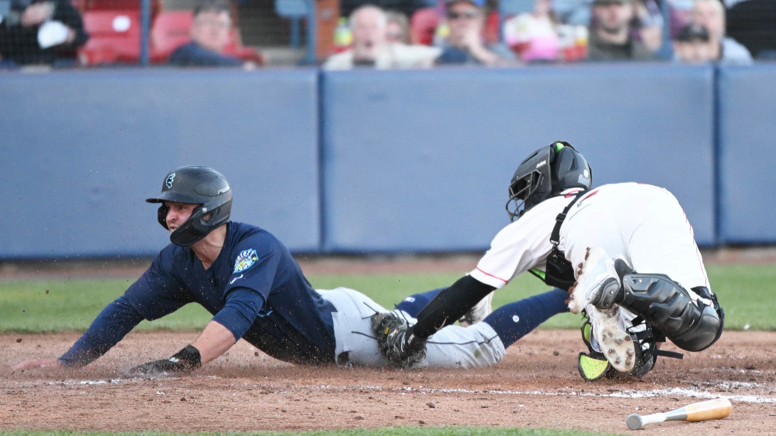 Everett AquaSox Baseball Club | MiLB.com