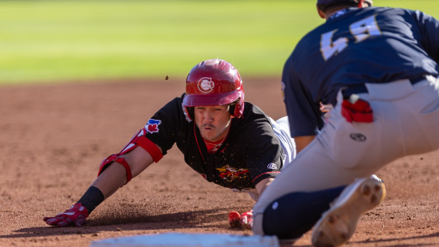 Connor Cooke Stats, Fantasy & News | MiLB.com