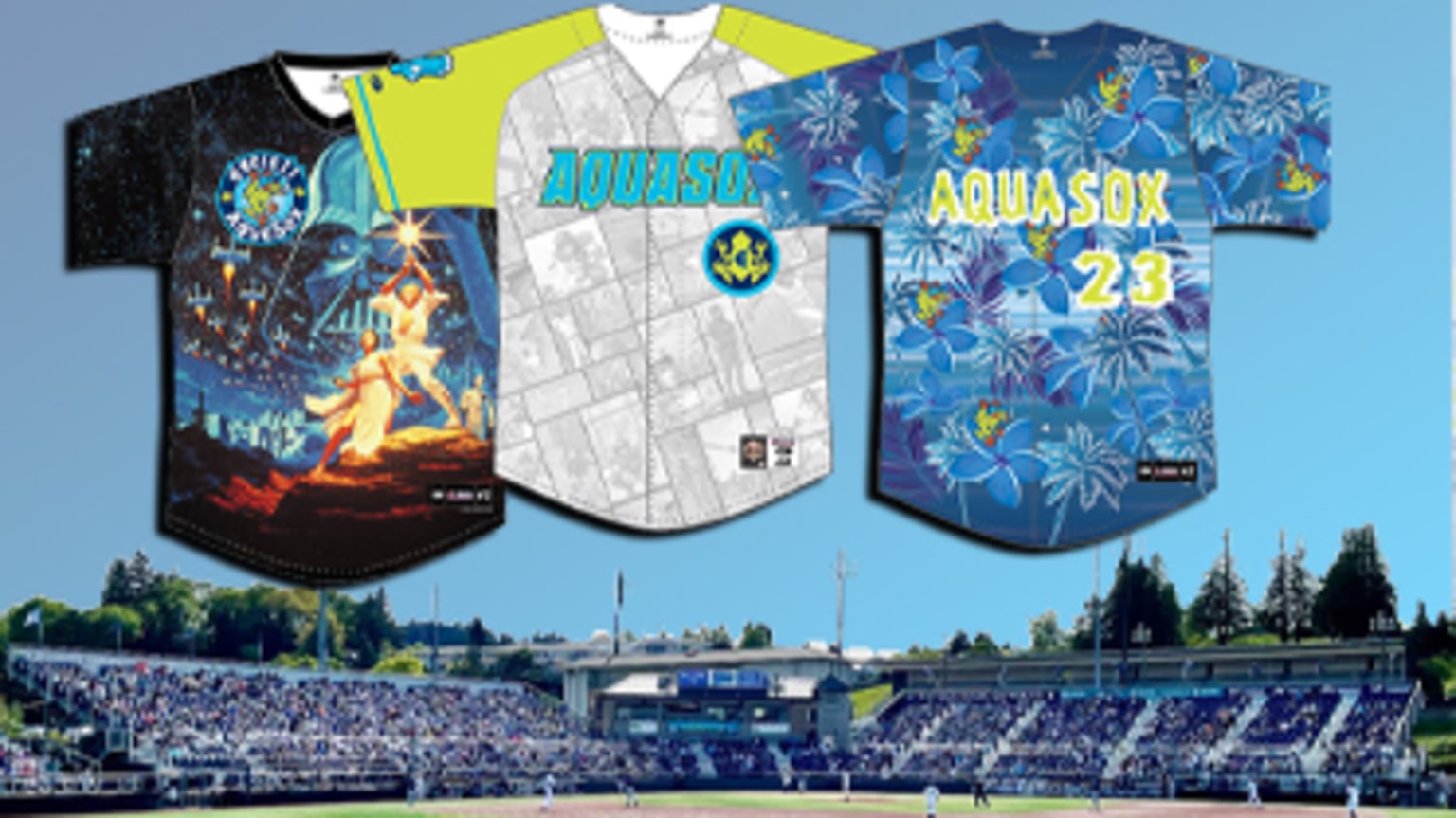 Everett AquaSox Mini Plans | AquaSox