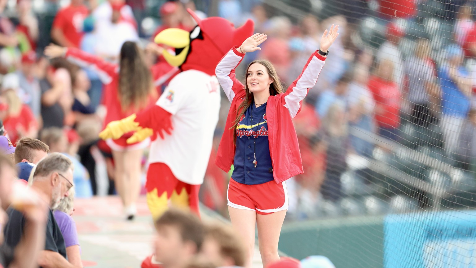 Team Louie | Cardinals