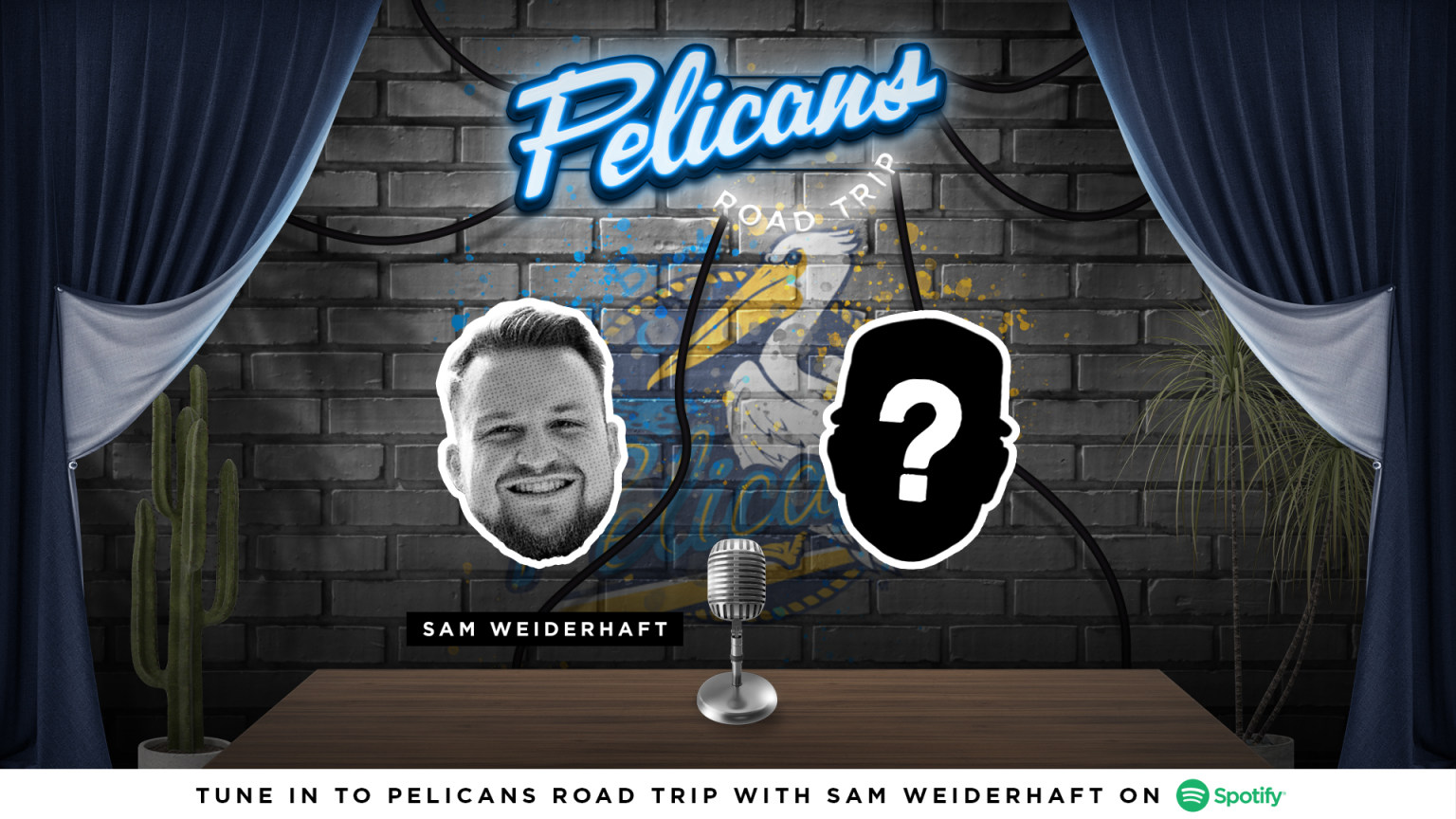 Myrtle Beach Pelicans | MiLB.com