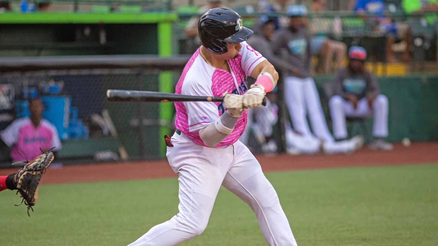 Ariel Almonte Stats, Fantasy & News | MiLB.com