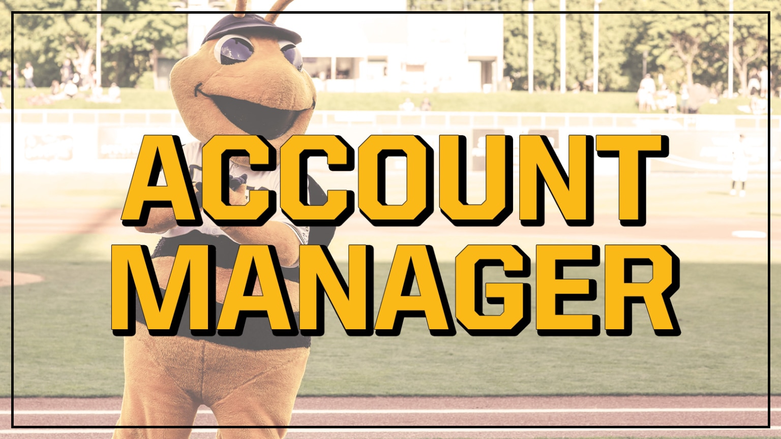 Salt Lake Bees Tickets | Bees