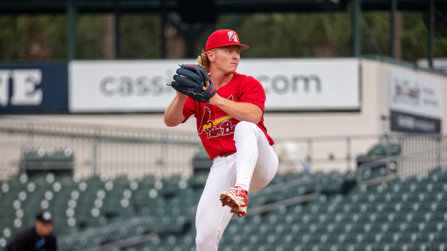Cardinals Fall 2-1 to Mets on Friday Night