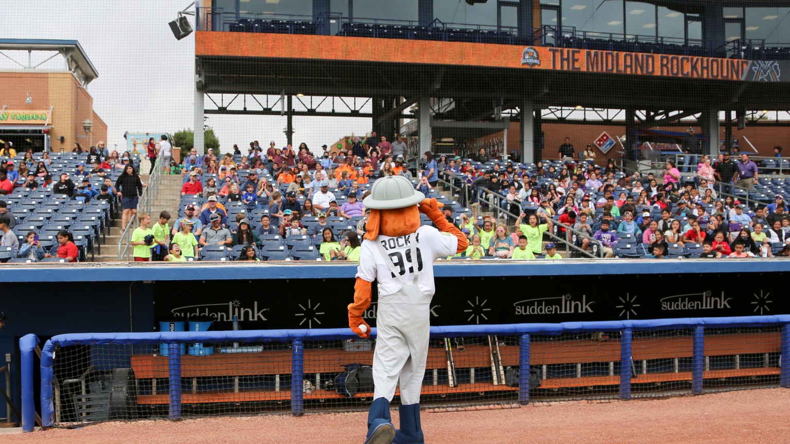 Ticket Options | RockHounds