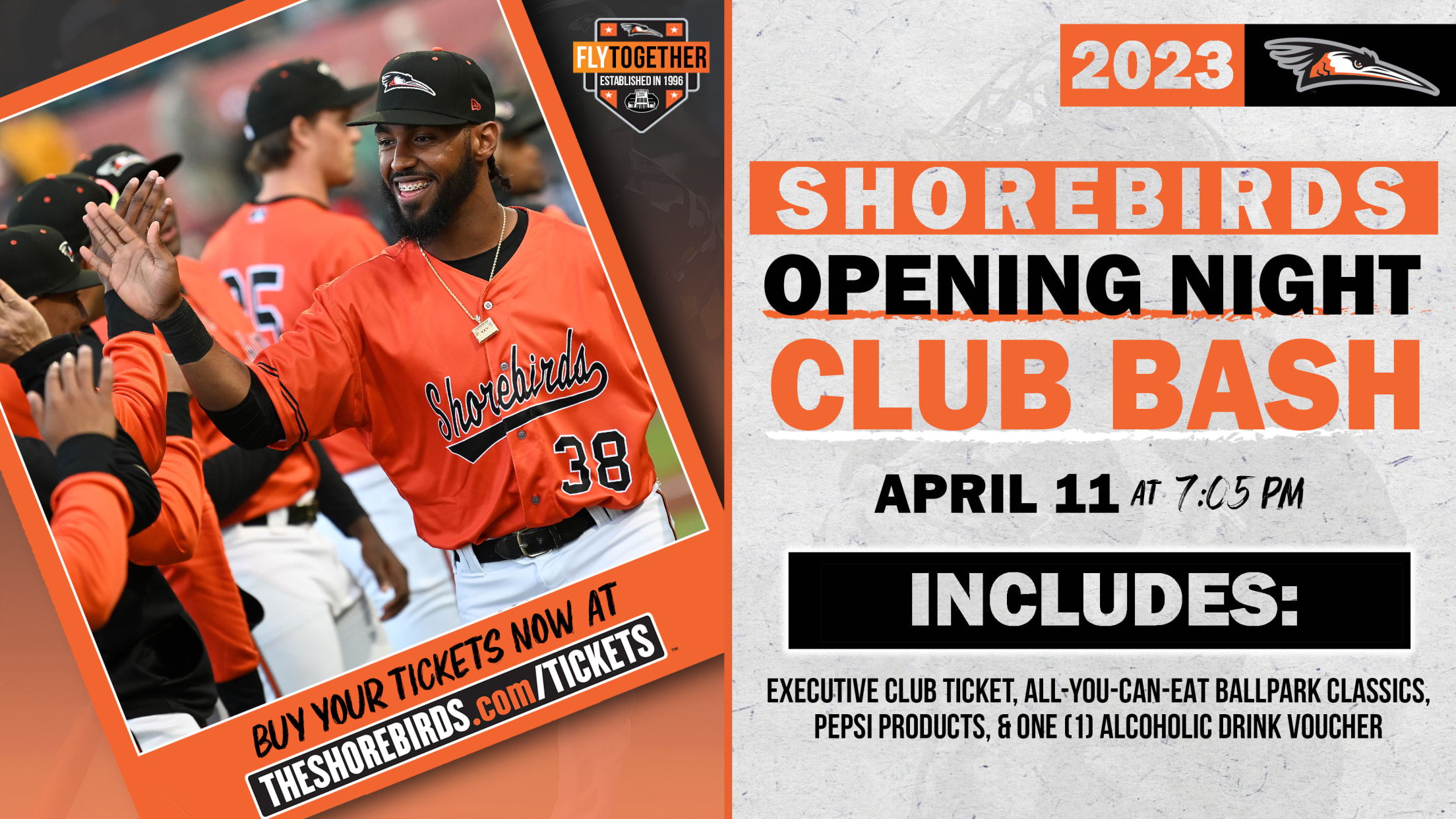 Special Ticket Offers | Shorebirds