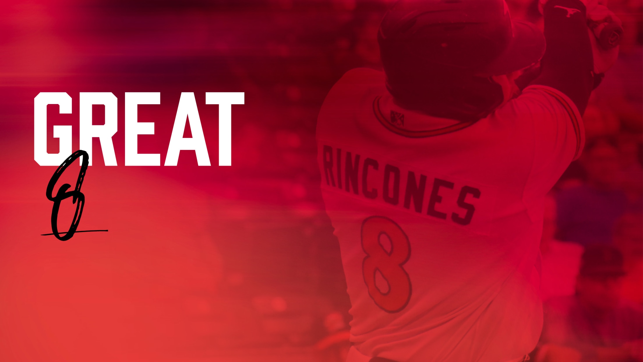 Flex Plans - Great 8 & Gold Books | Flying Squirrels