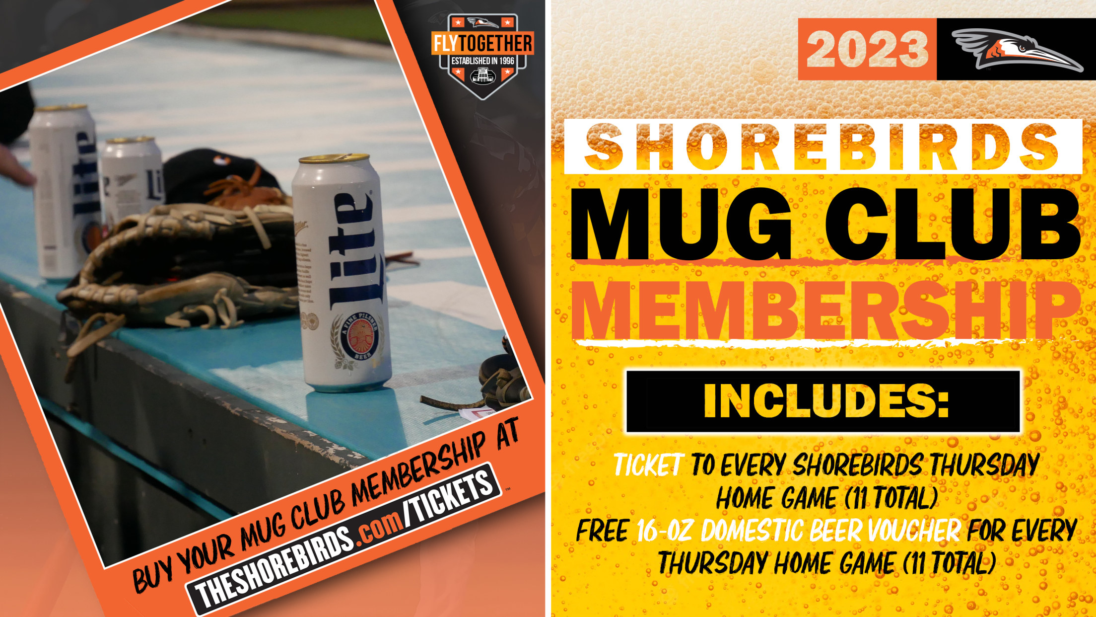 Special Ticket Offers | Shorebirds