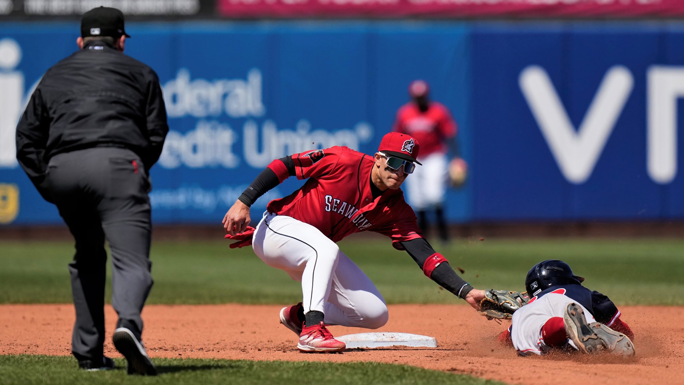 seawolves | SeaWolves