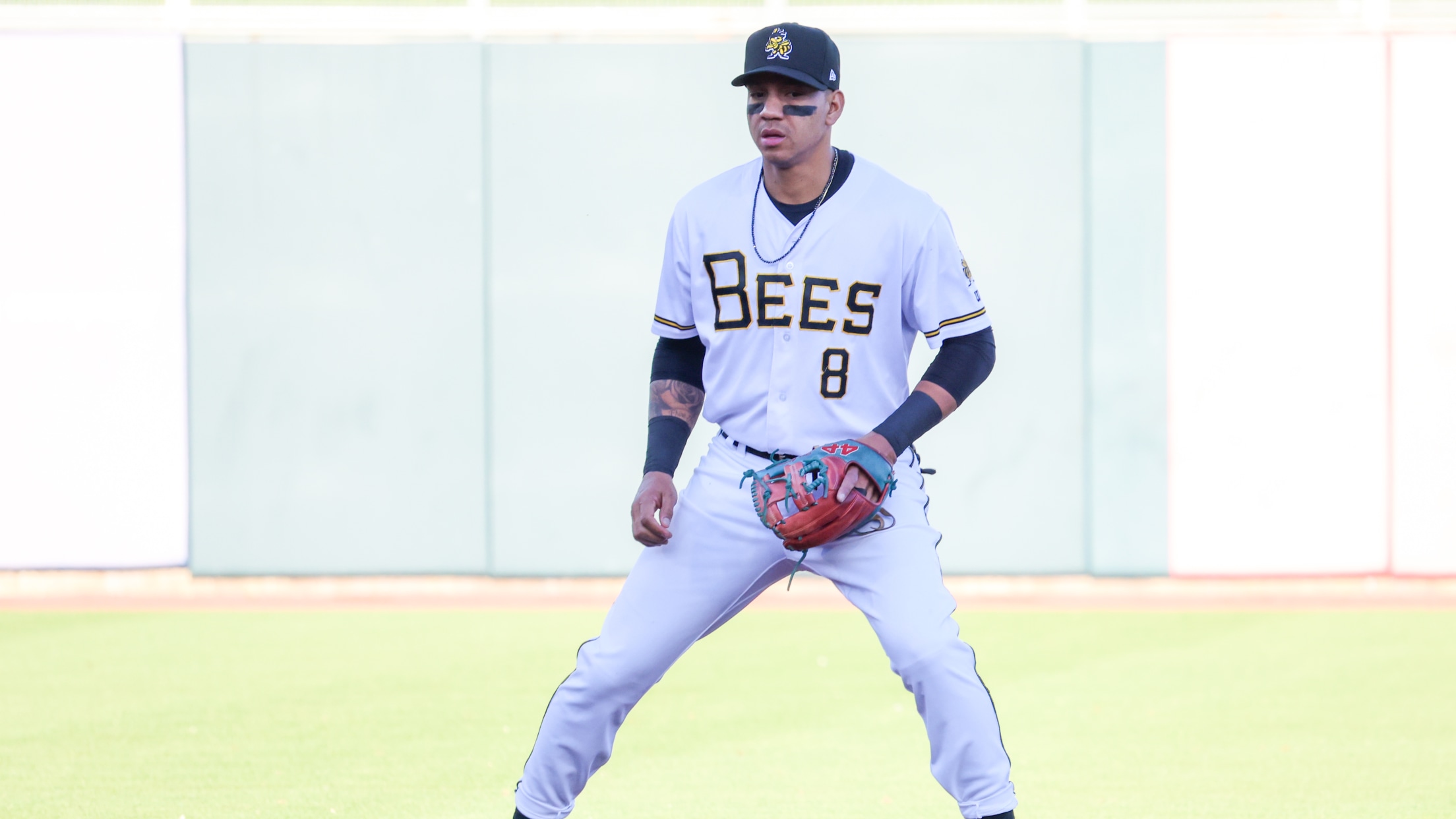 Bees Blanked On Friday Night | MiLB.com