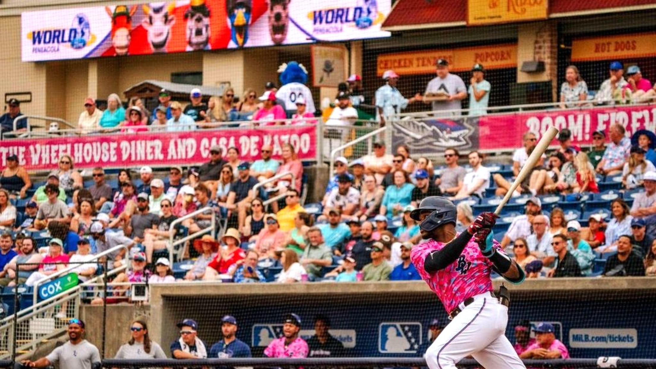 Pensacola Blue Wahoos News | Blue Wahoos