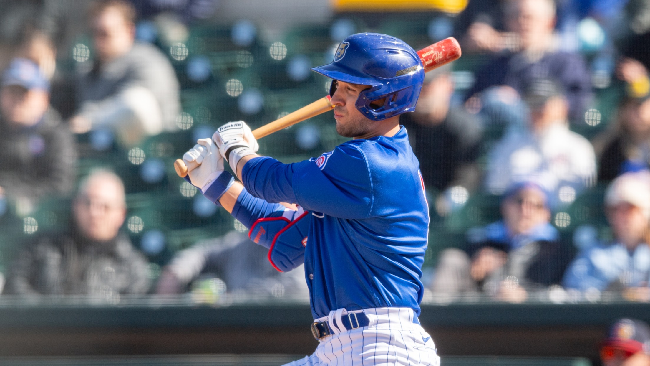 Iowa Cubs News | Cubs