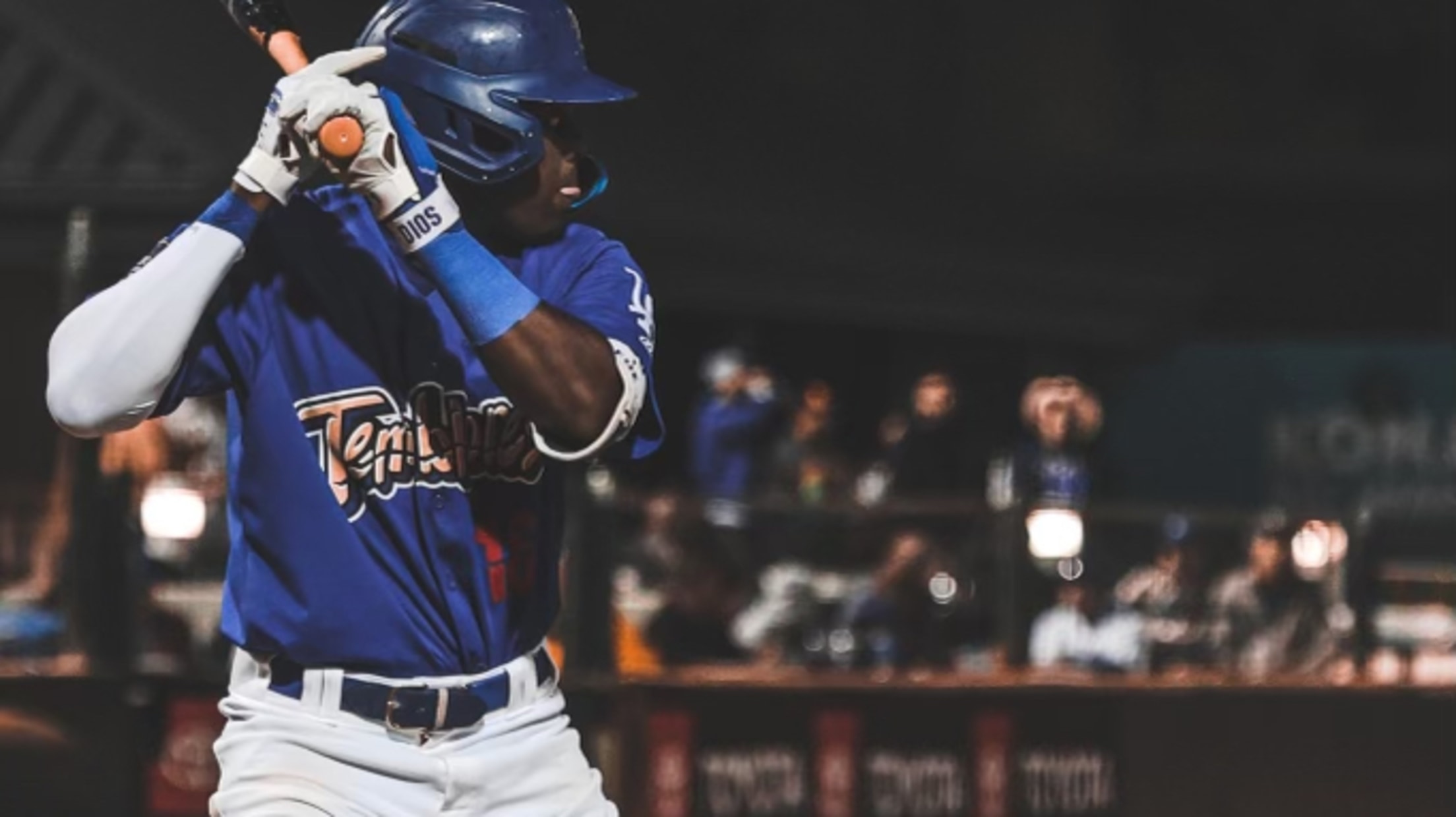 Madison Jeffrey Stats, Fantasy & News | MiLB.com