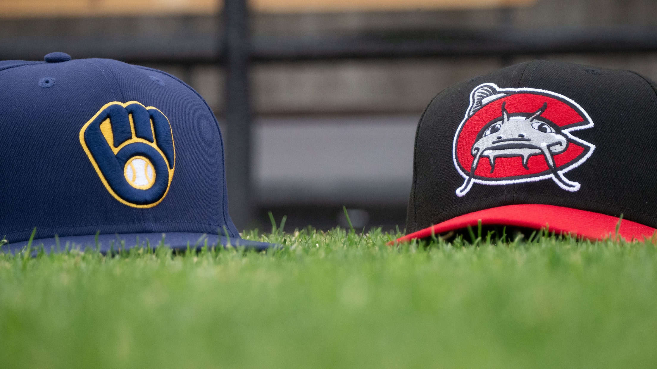 Mudcats Front Office | Mudcats