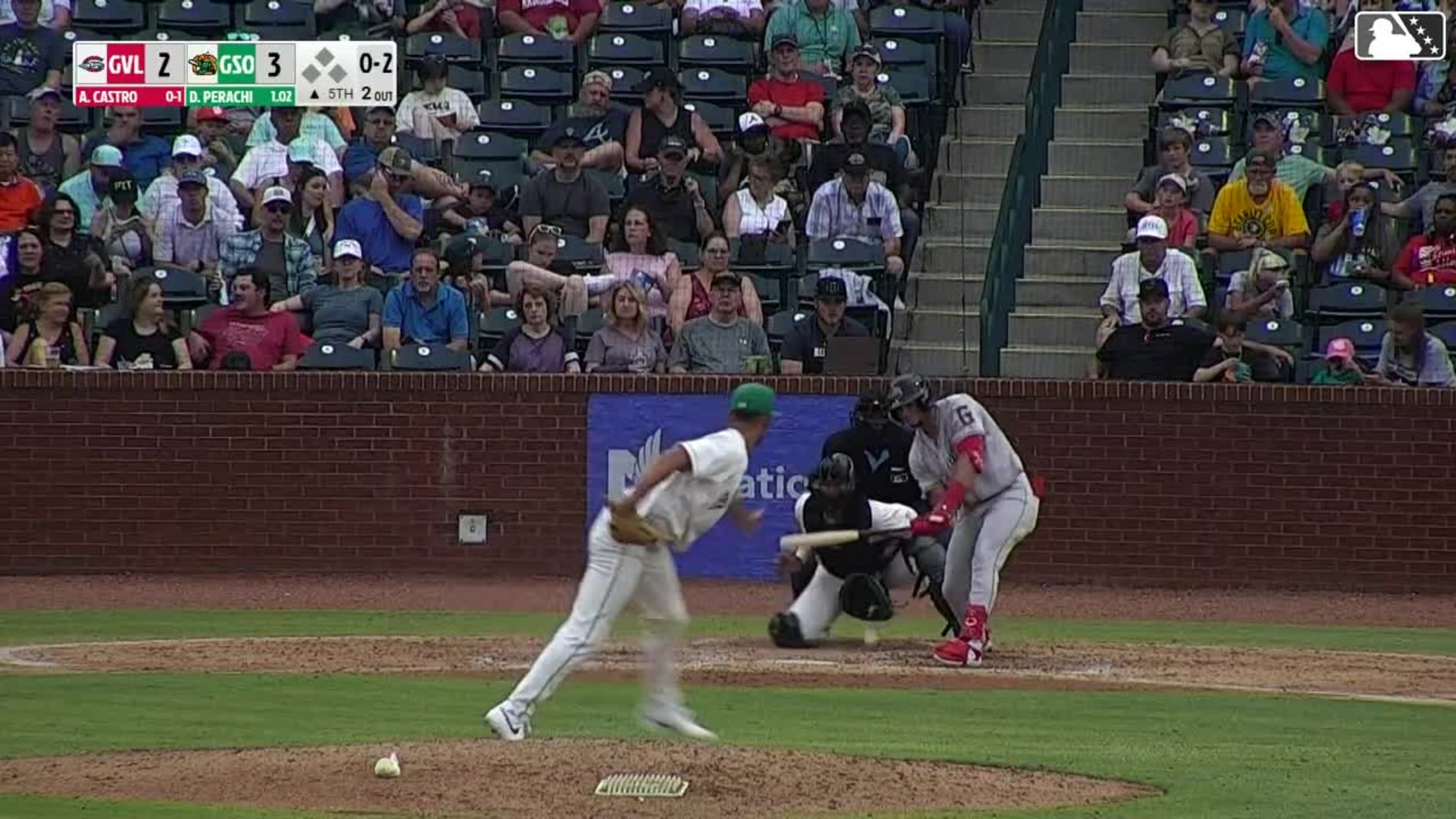 Dominic Perachi Stats, Age, Position, Height, Weight, Fantasy & News ...