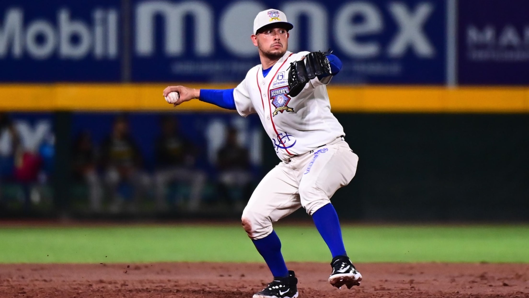 Acereros: La Furia Azul contará con Rodolfo Amador y RJ Alaniz | MiLB.com
