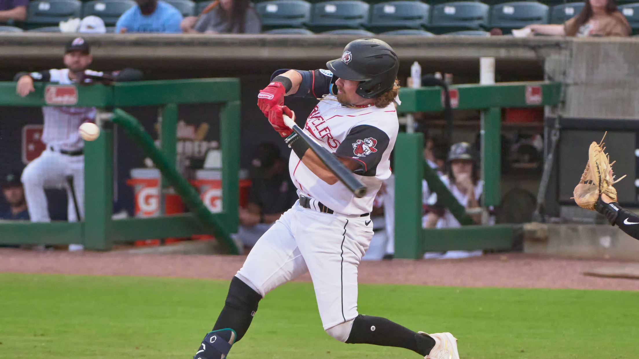 Spencer Packard Tabbed As TL Player of the Week | MiLB.com