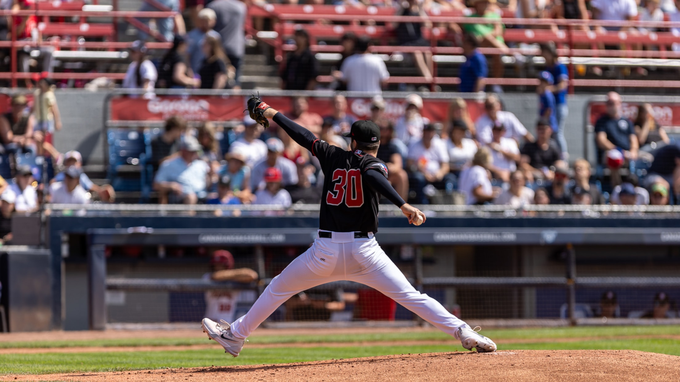 Alex Stone Stats, Age, Position, Height, Weight, Fantasy & News | MiLB.com