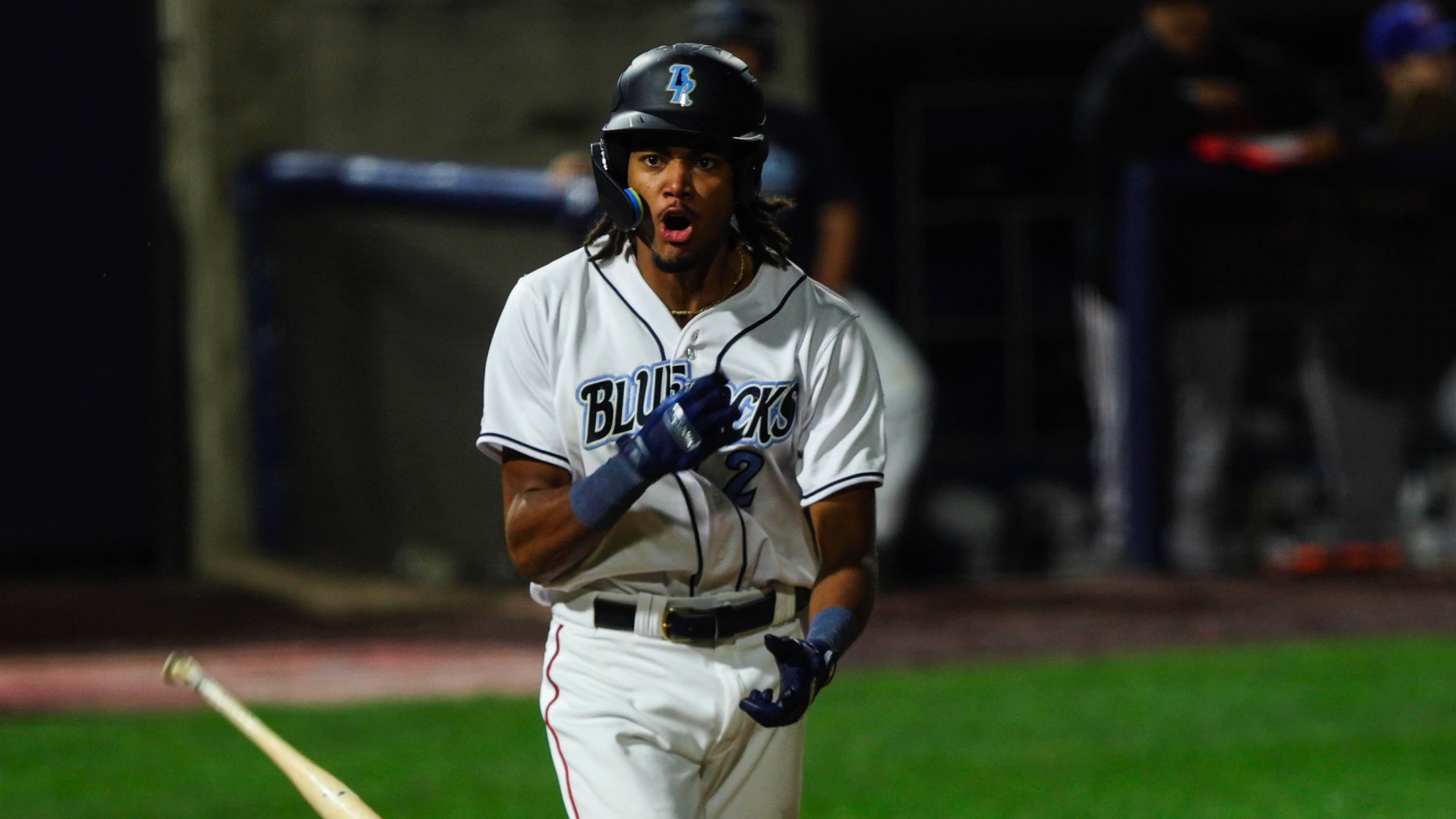 Wilmington Blue Rocks Awards Results | MiLB.com