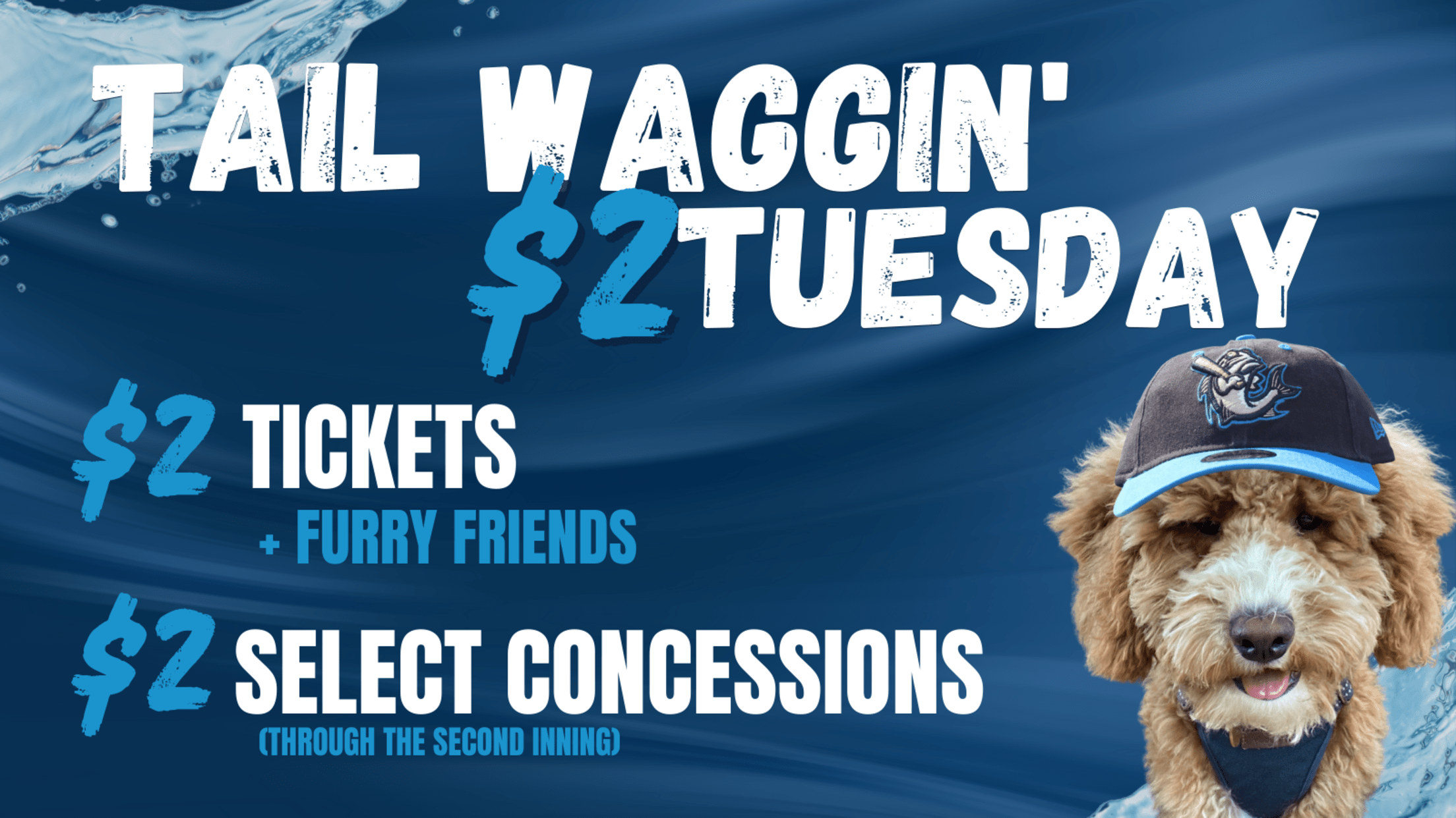 Tail Waggin' Tuesday | Tarpons