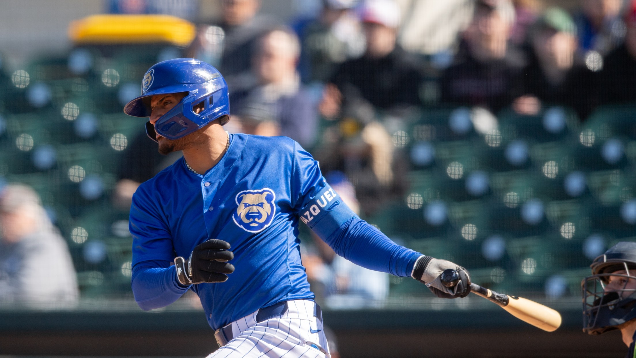 Iowa Cubs News | Cubs