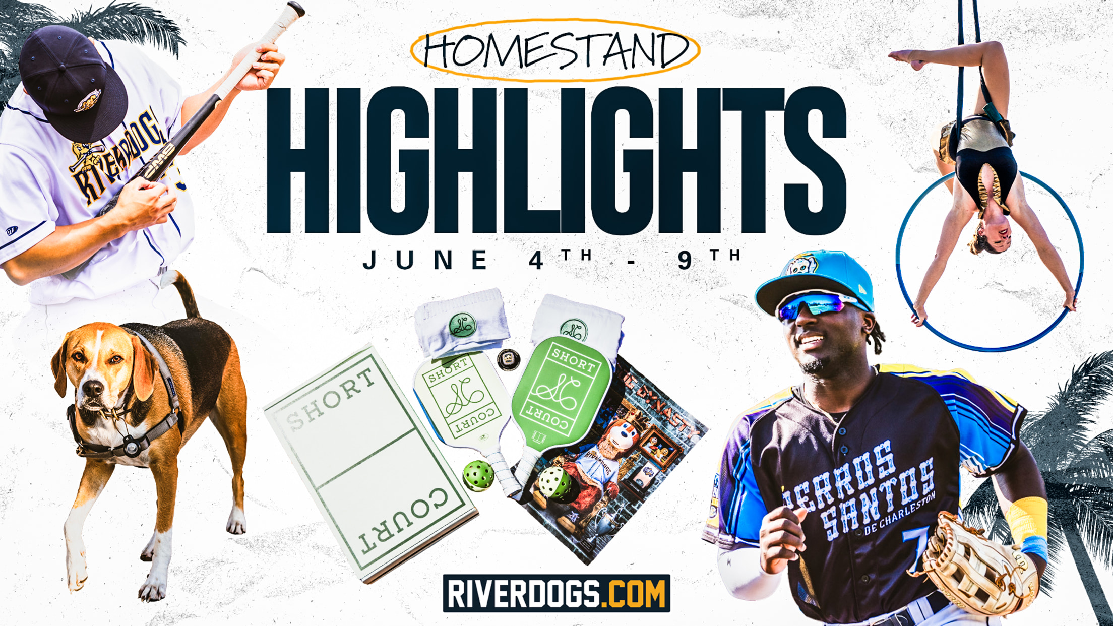 Homestand Preview: RiverDogs Preparing for First Ever Series against ...