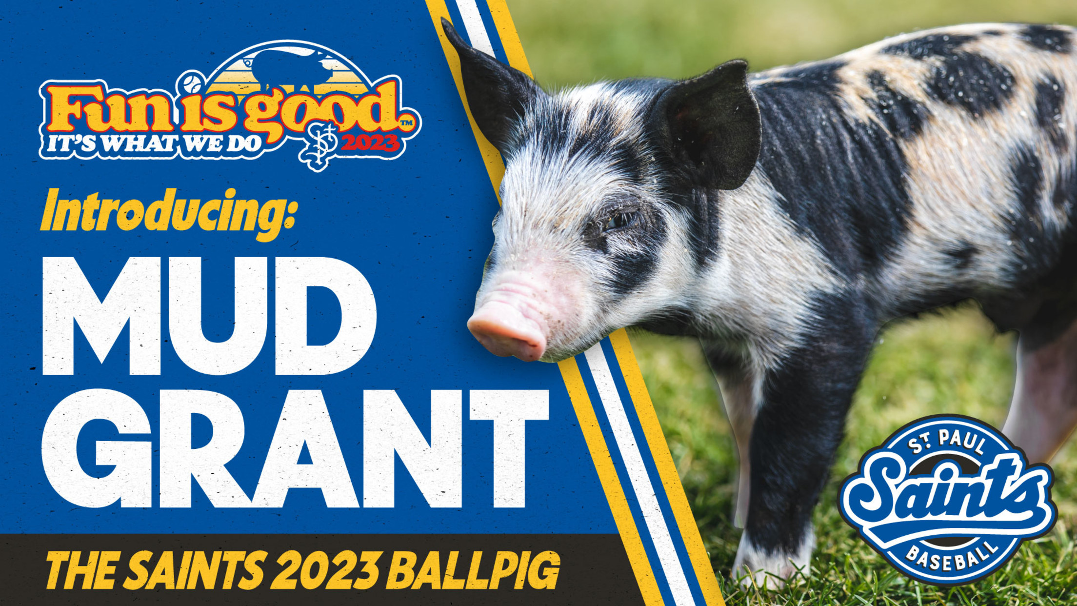 And A Legend Was Born...Saints New Ballpig Is Mud Grant | MiLB.com And A Legend Was Born...Saints New Ballpig Is Mud Grant | MiLB.com