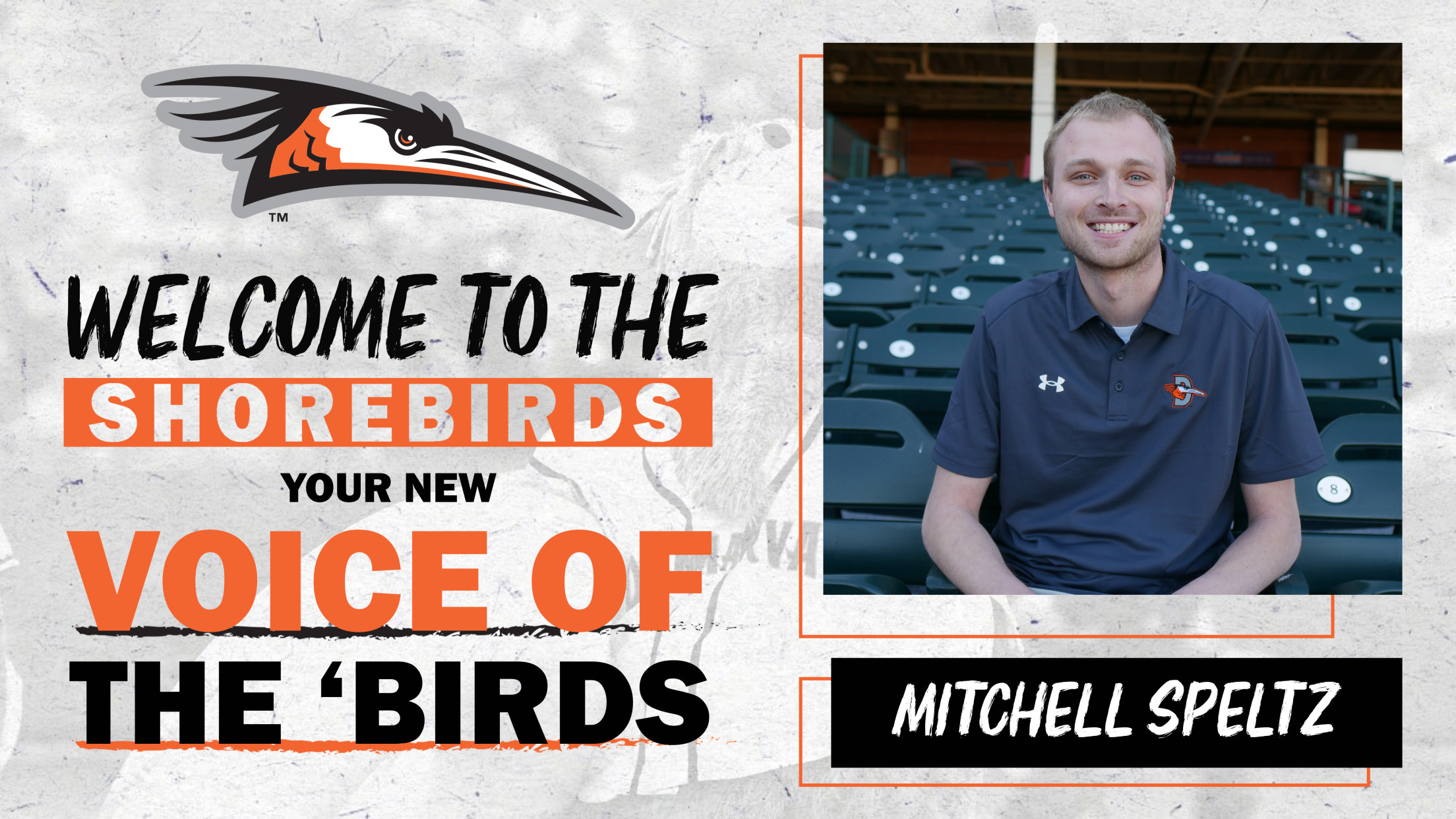 Mitchell Speltz Announced as New Voice of the Shorebirds | MiLB.com