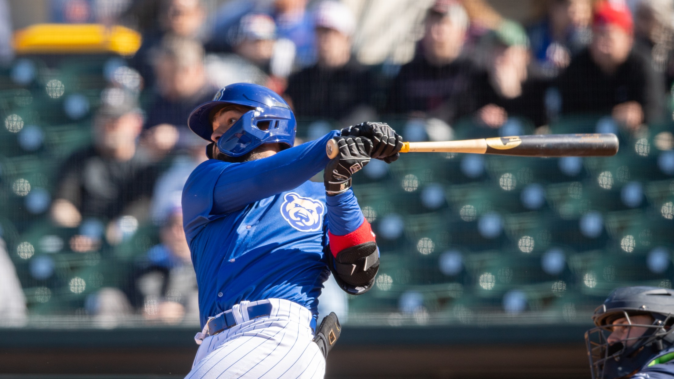Iowa Cubs News | Cubs