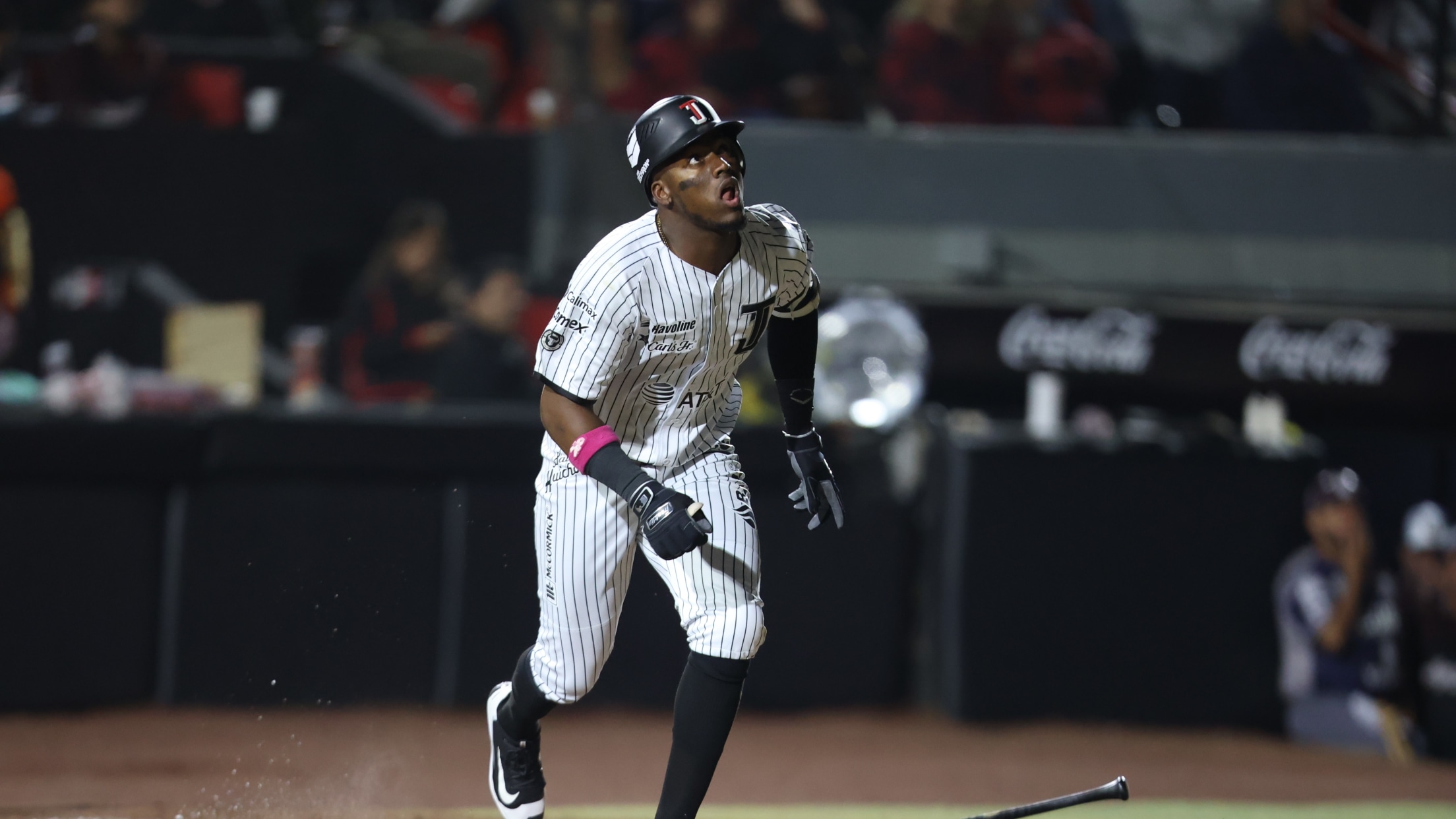 Toros: Regresa Junior Lake | MiLB.com