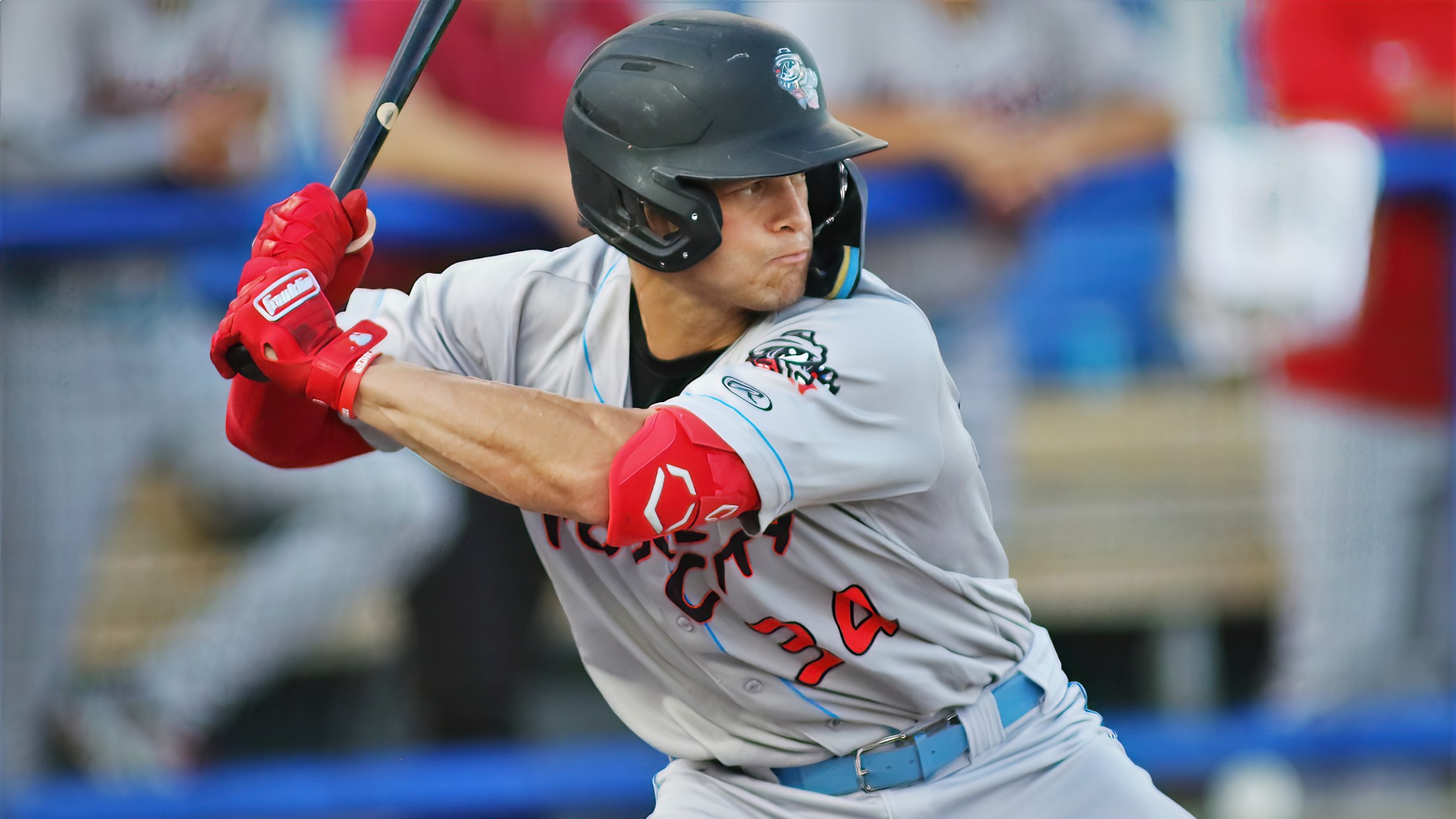 Logan O'Hoppe Stats, Fantasy & News | MiLB.com
