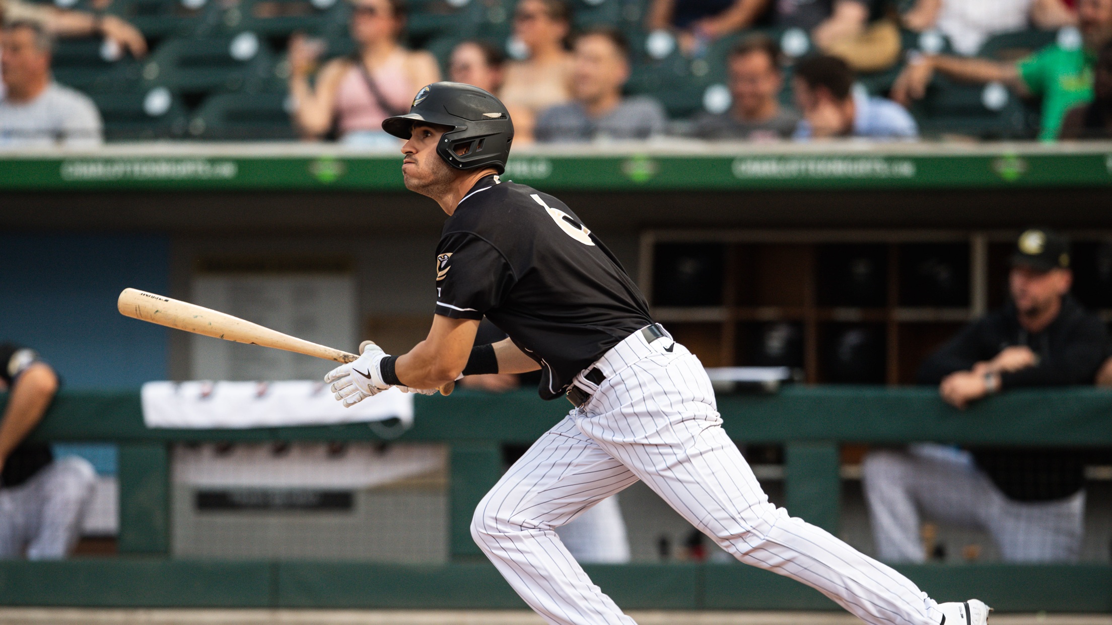 Haseley & Foster Promoted to Chicago White Sox | MiLB.com