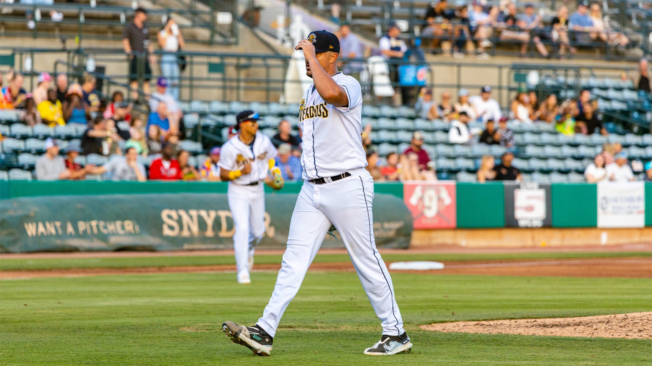 RiverDogs Return from Break with 2-0 Shutout of Down East | MiLB.com