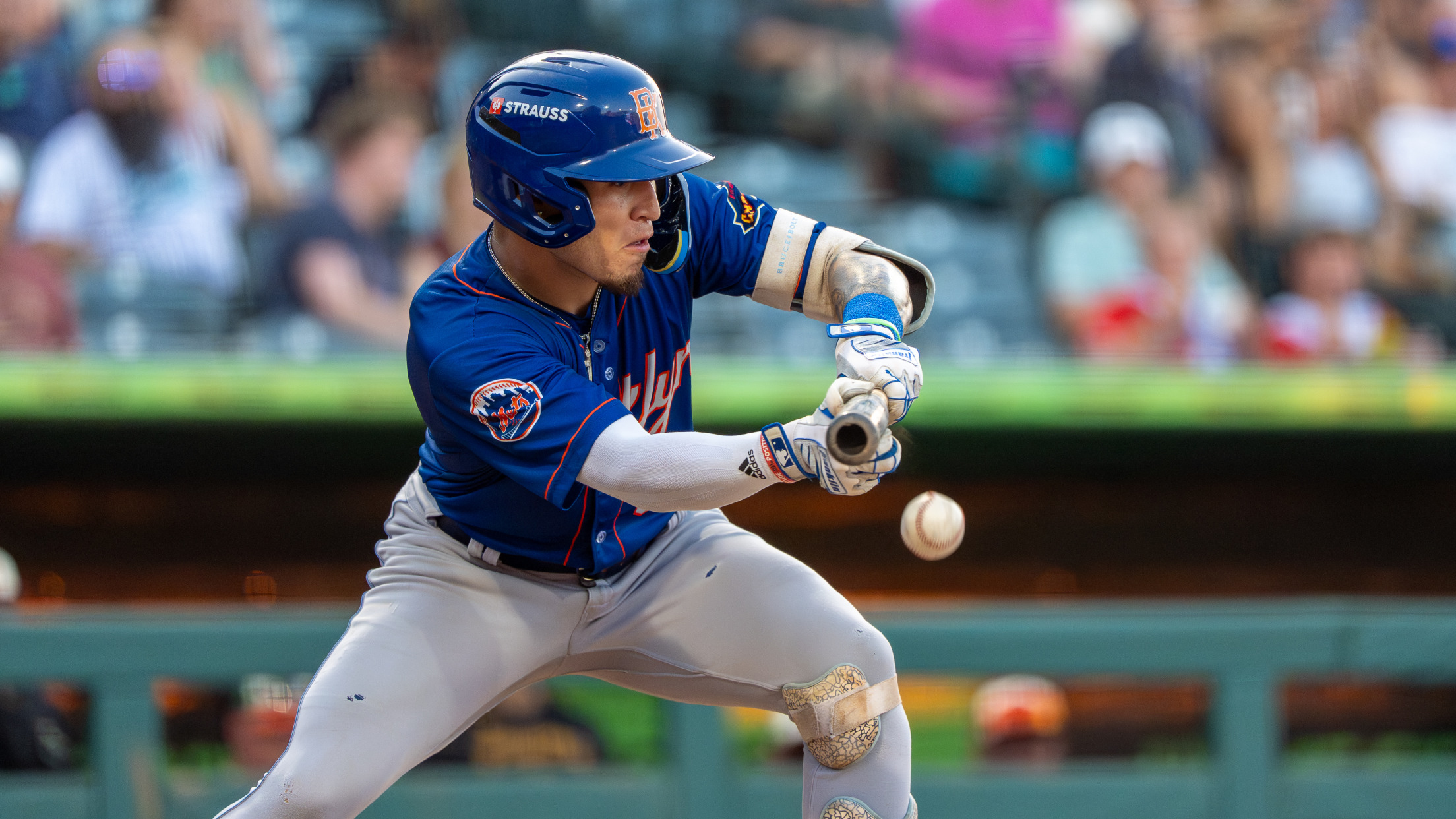 Trace Willhoite Stats, Age, Position, Height, Weight, Fantasy & News ...