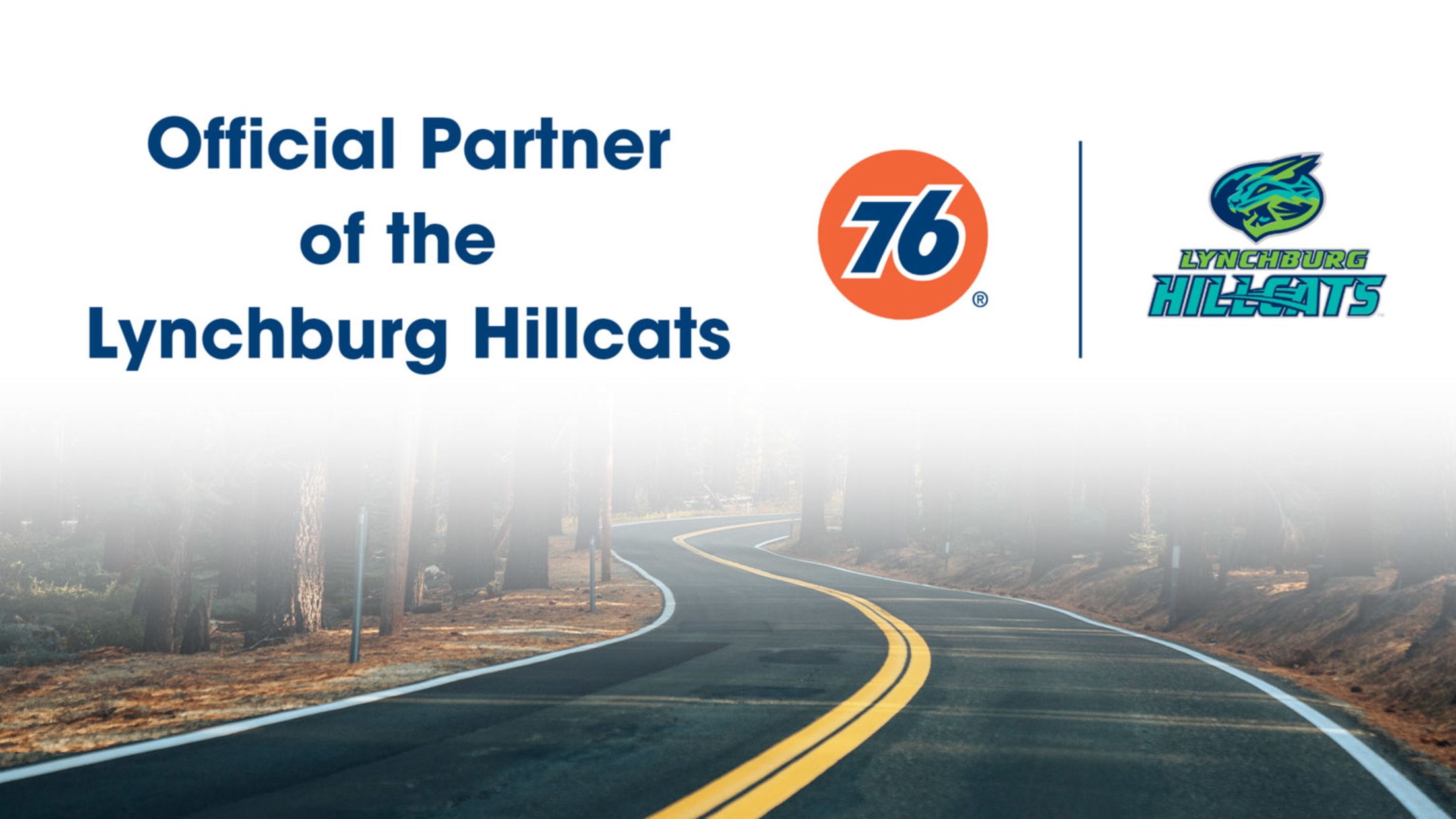 Lynchburg Hillcats | MiLB.com