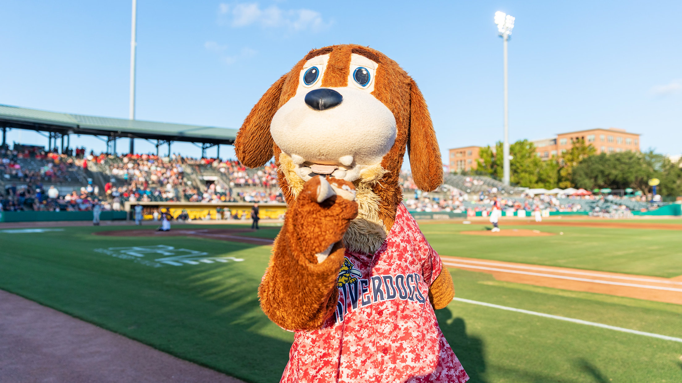 Military | RiverDogs