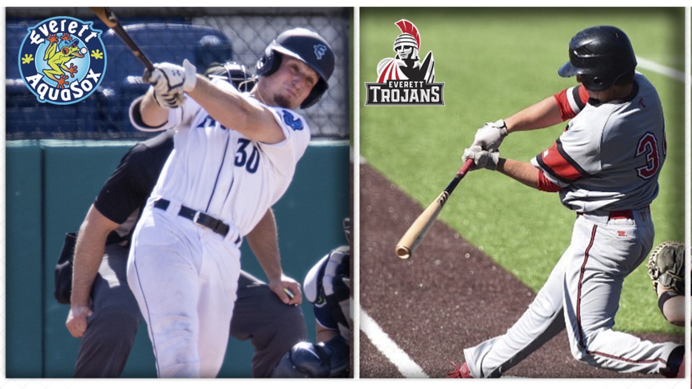 Everett AquaSox Baseball Club | MiLB.com