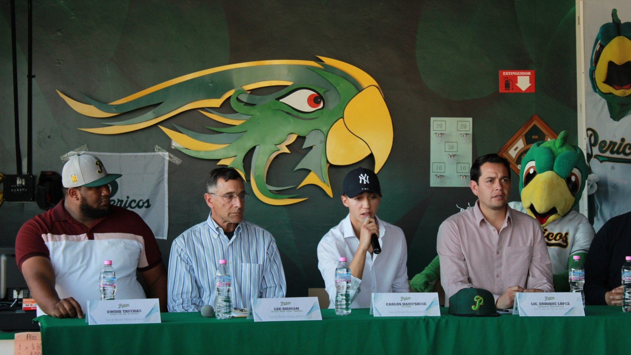 Pericos: Otro emplumado que vuela a la MLB | MiLB.com