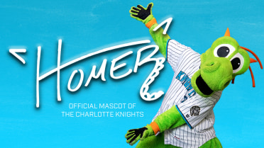Homer the Dragon | Knights