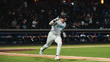 Lee's Walk-Off Double Caps a Wild Win