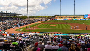 Jupiter Hammerheads | MiLB.com