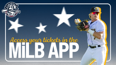 Official Charleston RiverDogs Website