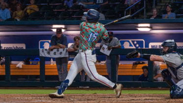 Berry walks off Gwinnett in eight innings