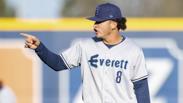 Luis Suisbel Collects Five RBIs in 8-3 Sox Win